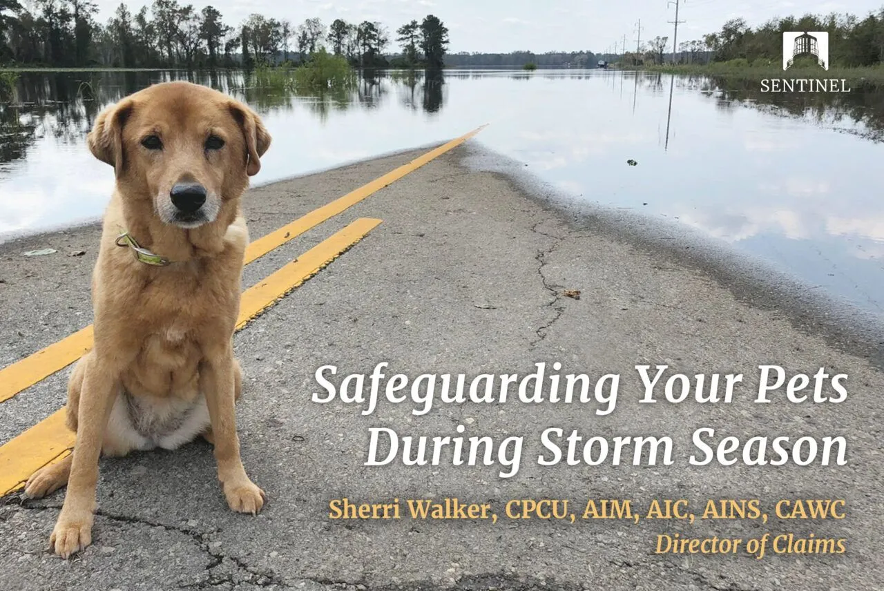 Risk Management - Sentinel