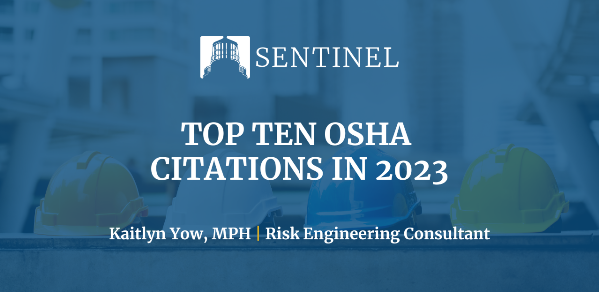 Risk Management - Sentinel